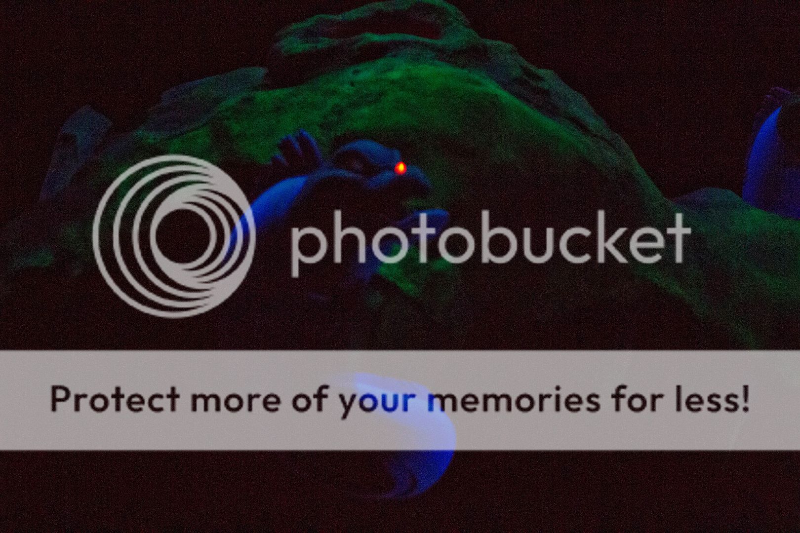 Let it Snope Let it Snope Let it Snope! A Very Merry crowded Christmas ...