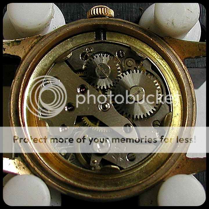 Cleva with 2nd generation Cupillard, now with added cork! | WatchUSeek ...