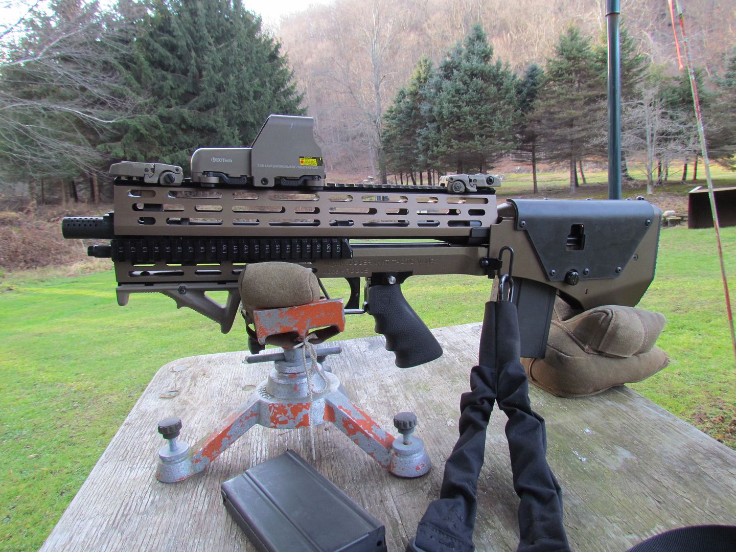 Eotech on an M1A | M14 Forum