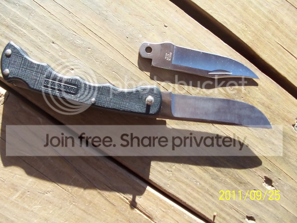 Pics added ! New to me Buck 428 / | BladeForums.com